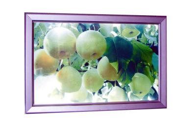 Cina Ultrasottile esile acrilico della scatola leggera di DC12V LED su misura con alta luminosità in vendita
