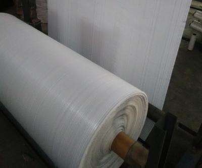 Cina Strato bianco/blu della tela cerata del PE resistente alla corrosione con entrambi i lati laminati in vendita
