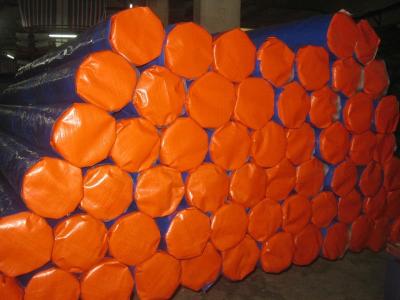 Cina Strato bianco/blu della tela cerata del PE resistente alla corrosione con entrambi i lati laminati in vendita