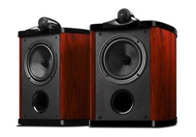 Cina Pailsander di lusso ha scaricato gli altoparlanti stereo domestici degli altoparlanti della scatola per lo studio/partito in vendita