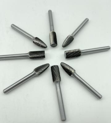 Cina Il doppio di macinazione dello strumento ha tagliato il ODM dell'OEM rotatorio di Burr Set del carburo in vendita