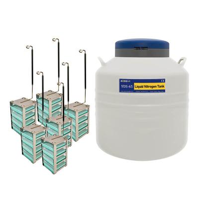 China KGSQ 65L cell freezing container_cryogenic tank manufacturers for sale