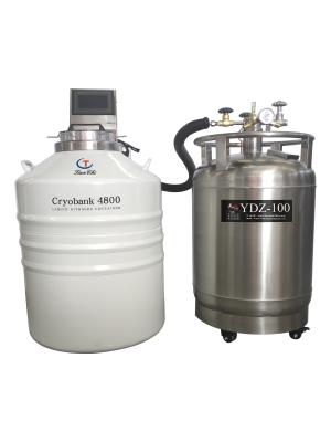 China South Africa KGSQ liquid nitrogen tank cryobank series small gas-liquid phase tank 95L for sale