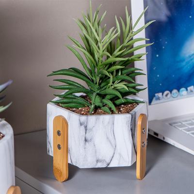 Cina Vasi della Tabella del cemento dei vasi della pianta dei succulenti degli articoli da arredamento di Homewares dei vasi da fiori del cactus di colore verde in vendita