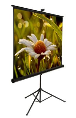China Matte White Tripod Projection Screen Stand / Floor Pull Up Movie Theater Screen for sale