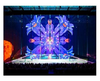 China De voor/Achter 3D Holografische Zalen van Mesh Projection Screen For Stage/van de Tentoonstelling for sale