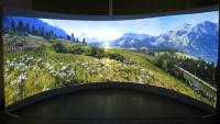 China 360 Degree 3D Simulation Curved Fixed Frame Projector Screen Floor Stand for sale