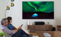 China 100 Inch Fixed Frame Screen Black Diamond Projector Panel 170° View Angle Durable for sale