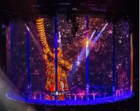 China 3D Holographic Mesh Projection Screen for sale