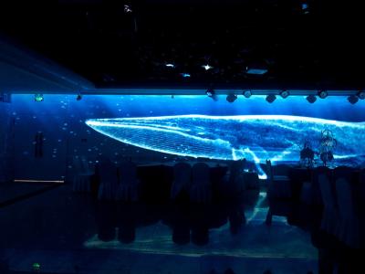China Invisible 3D Hologram Projection Screen Transparent For Live Show for sale