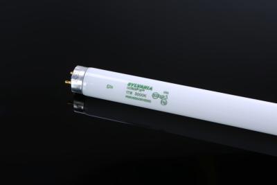 China Sylvania TL83 Light F17/830 60cm for sale