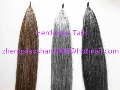 China Single thickness 75cm grey color false horse tails made of real horse hairs for sale for sale