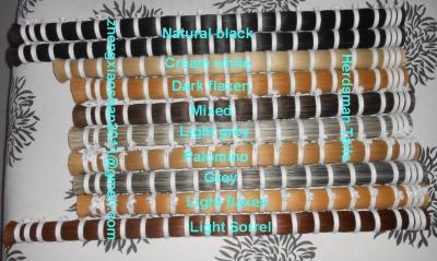China Quality 5-40 inches horse tail hair and horse mane hair in all natural colors for sale