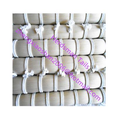 China 30-35 inches long real natural white horse tail hairs unbleached supplied by Herdsman for sale