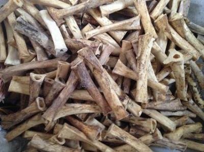 China Niu Gu (Ox bone or Water Buffalo bone),traditional chinese medicine for sale