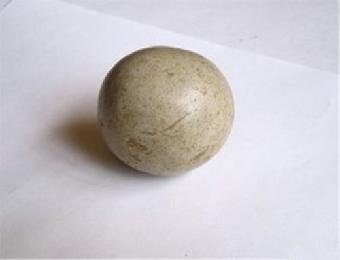 China Traditional chinese medicine,Horse Bezoar (Ma Bao)/Calculus Equi for sale