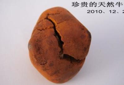 China Traditional chinese medicine,Niu Huang /Calculus Bovis/Bezoar for sale