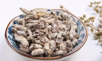 China Traditional chinese medicine,Jiang Can (Bombyx Batryticatus)/Stiff Silkworm /bai jiang can for sale