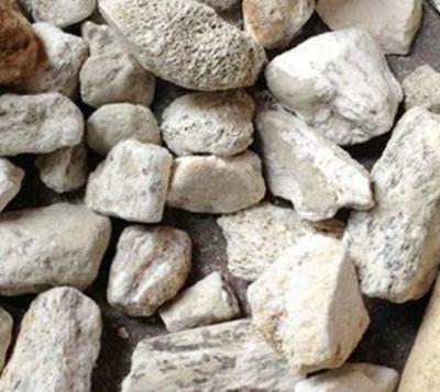 China TCM/Traditional chinese medicine/Natural medicine,Long Gu/Ossa Draconis/Fossil fragments for sale