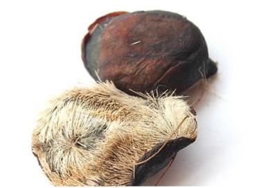 China Musk Exodermis/Traditional chinese medicine,She Xiang Ke for sale