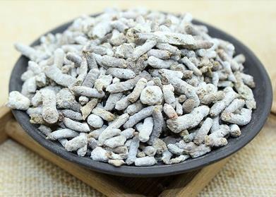 China Sparrow faeces/Traditional chinese medicine/Bai Ding Xiang for sale