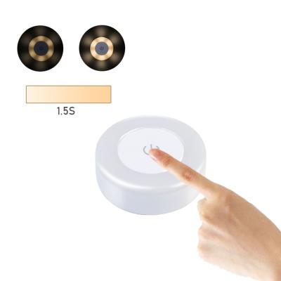 Cina Modern Night Light Dimmable USB LED Bedroom Light 3W Touch Embedded Battery 6LED Under Cabinet LED Light in vendita