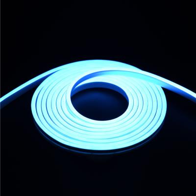 Cina Strip 12V Logo Sign Lights Flexible Neon Light 5meters Hotel LED Silicone Compressed Neon Flex Kit for DIY Signage in vendita