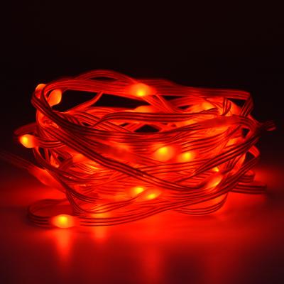 Cina SUPER MARKET SALE RTS DC5V 50leds Controller Fairy Digital Led Light 10leds/meter 5m fancy led holiday light in vendita