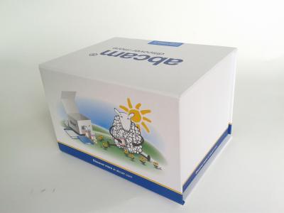 China La caja revestida del tablero de papel de la moda, rectángulo imprimió las cajas de regalo rígidas para con el logotipo de encargo en venta