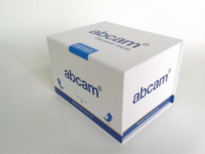 China La caja revestida del tablero de papel de la moda, rectángulo imprimió las cajas de regalo rígidas para con el logotipo de encargo en venta