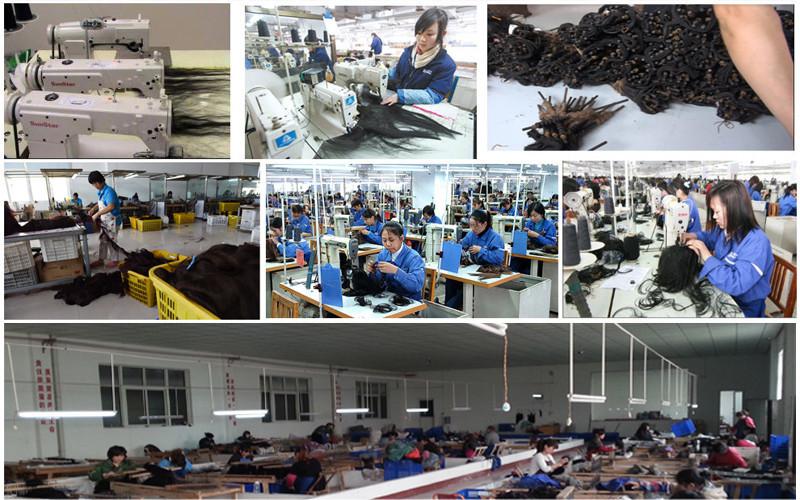 Fornitore cinese verificato - Guangzhou Xibolai Hair Products Firm