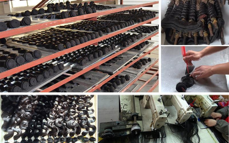 Fornitore cinese verificato - Guangzhou Xibolai Hair Products Firm