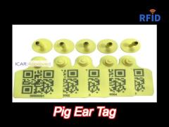 rfid pig ear tag lf 134.2khz animal ear tags with long reading distance capabilities