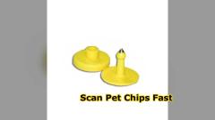Pet Microchip Scanner Reads Animal Tags