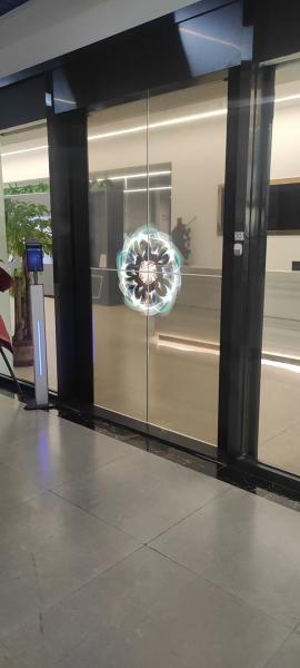 Display OLED trasparente a autoemissione da 55 pollici con elevata trasparenza e funzione touch screen opzionale