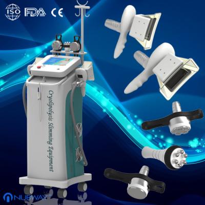 China 2014 cheapest lipo laser cryolipolysis,cooling cryolipolysis slimming machine supplier for sale