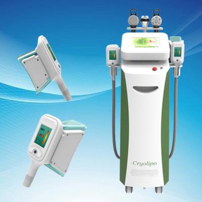 China 2014 newest professional hot sale 4 handles cryolipolysis slimming machine ,China for sale