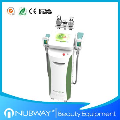China 2014 newest!!! 5 hanldes 2014 cryolipolysis slimming machinery,the best price for sale