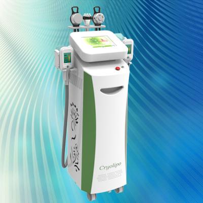 China Best Results slimming machines! Latest NUBWAY 5 handles multifunctional cryoliplysis for sale