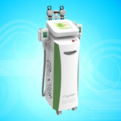 China Big promotion in Sep!!! Multi-function cryolipolysis slimming machine for clinic for sale