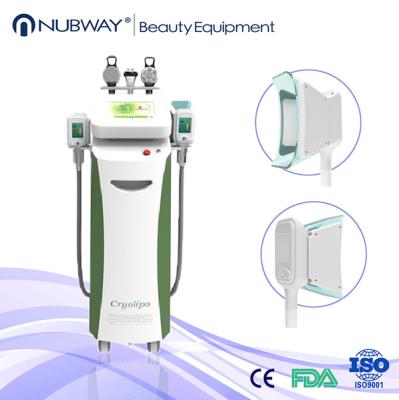 China Promotion!!!Factory price!!! cryolipolysis slimming machine for weight loss for sale