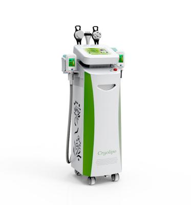 China Best effects! Cryolipolysis Slimming Machine With 20pcs Antifreezing Membranes Free for sale