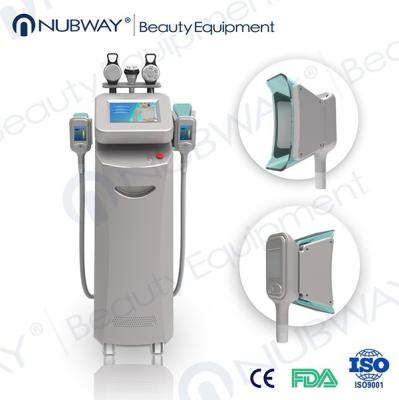 China 10.4 inch touch screen 5 handles cool tech slimming cool shape cellulite removal cryolipolysis machine for sale