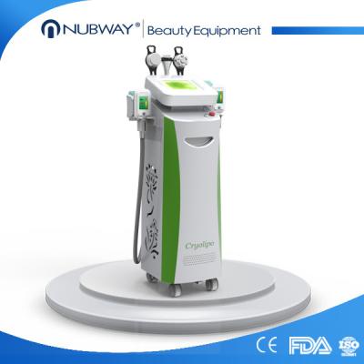 China Hot sale CE approved  Cryolipolysis  fat freeze slimming / 5 cryo handles  body slimming weight loss beauty machine for sale