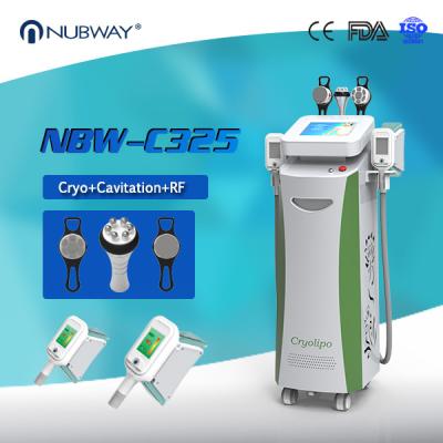 China promotion in October!!! 5 handles Multi-functional cryolipolysis fat freeze slimming machine for clinic spa CE Approved for sale