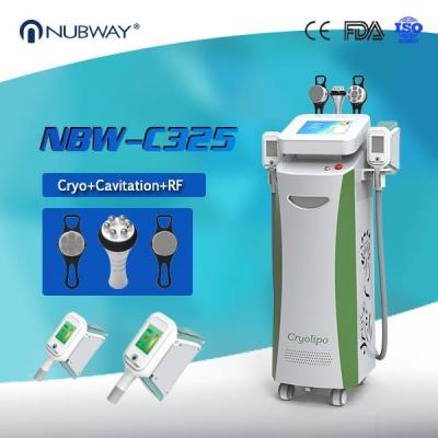 China Hottest salePromotion cryolipolysis slimming machine for weight loss Zelqit Coolsculpting slimming cavitation RF handle for sale