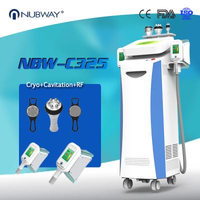 China Cryolipolysis adelgazamiento dispositivo Coolsculpting grasa congelación máquina adelgazante for sale