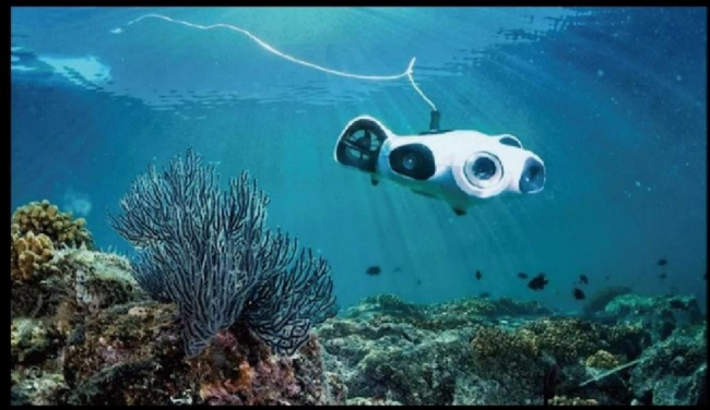 Underwater robot application