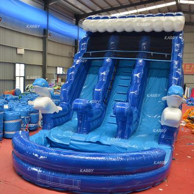 China Large Children Inflatable Water Double Slide N Slip with Digital Printing and Blower for sale