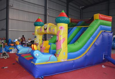 China 5-10 Passenger Custom Small Sponge-Bob Wet and Dry Slide with Digital Printing Design for sale